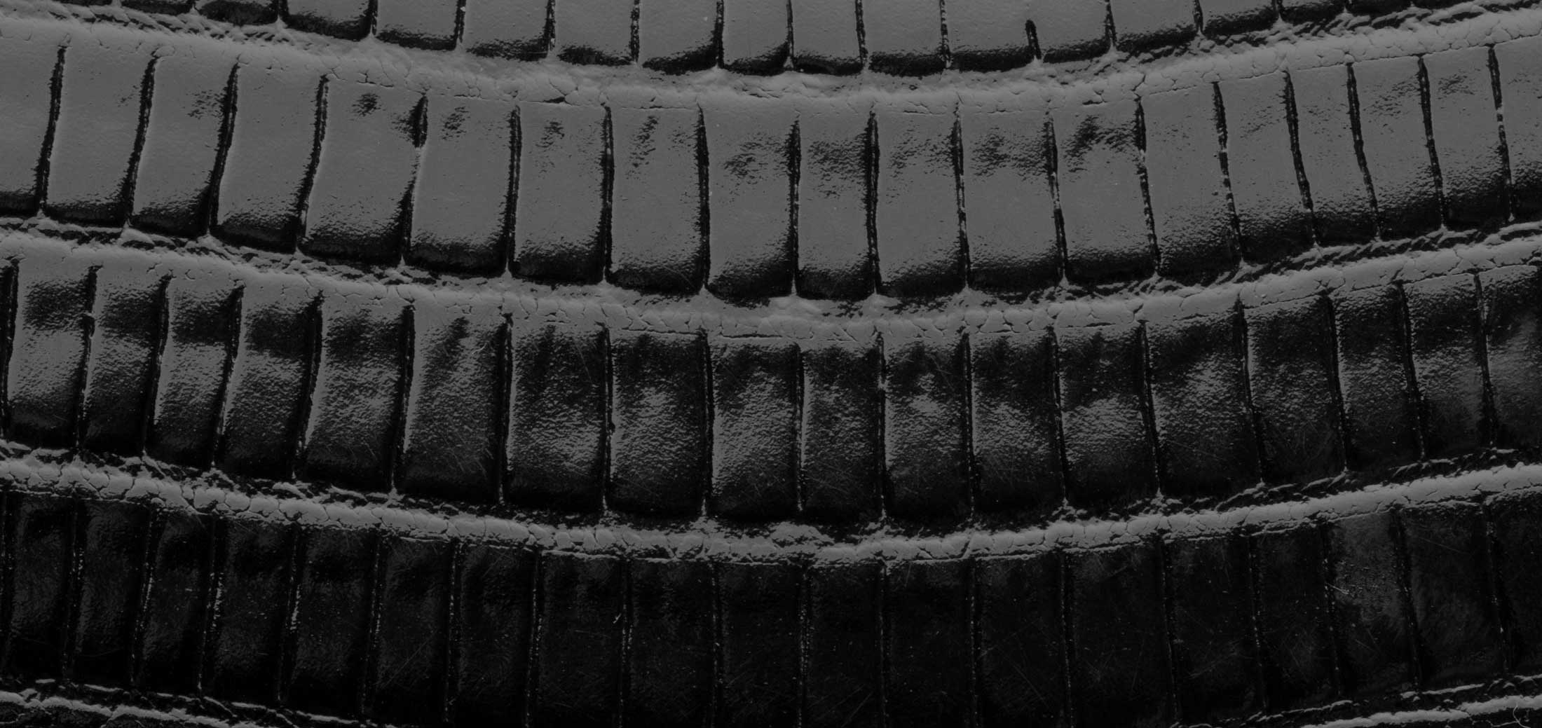 Precious, high gloss coatings from renewable sources for the leather ...